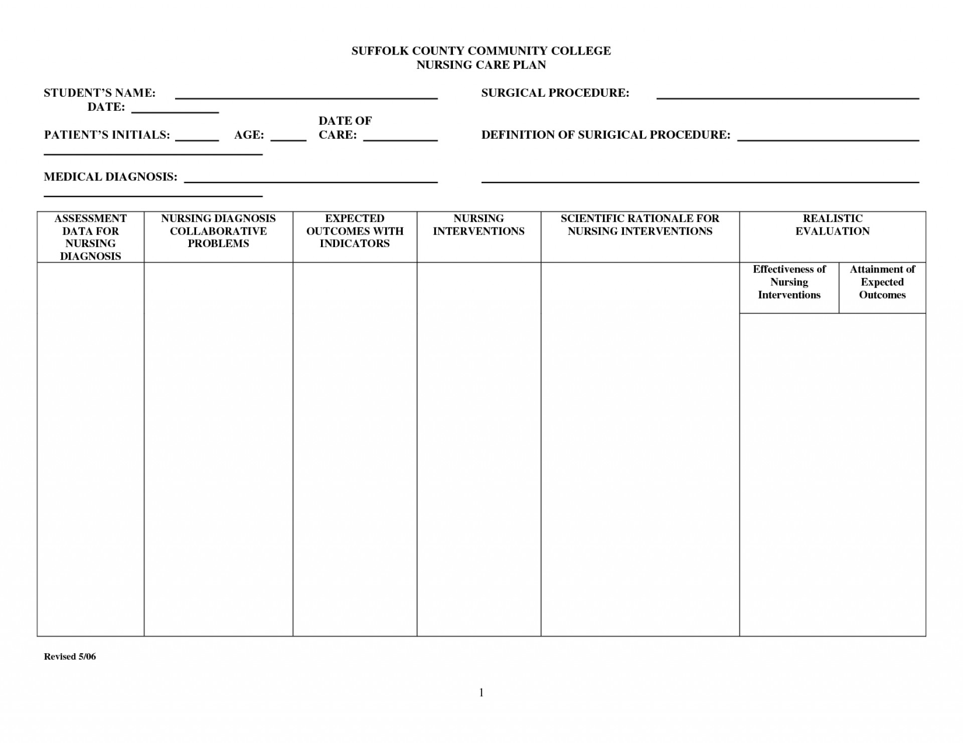 Blank Nursing Care Plan Templates