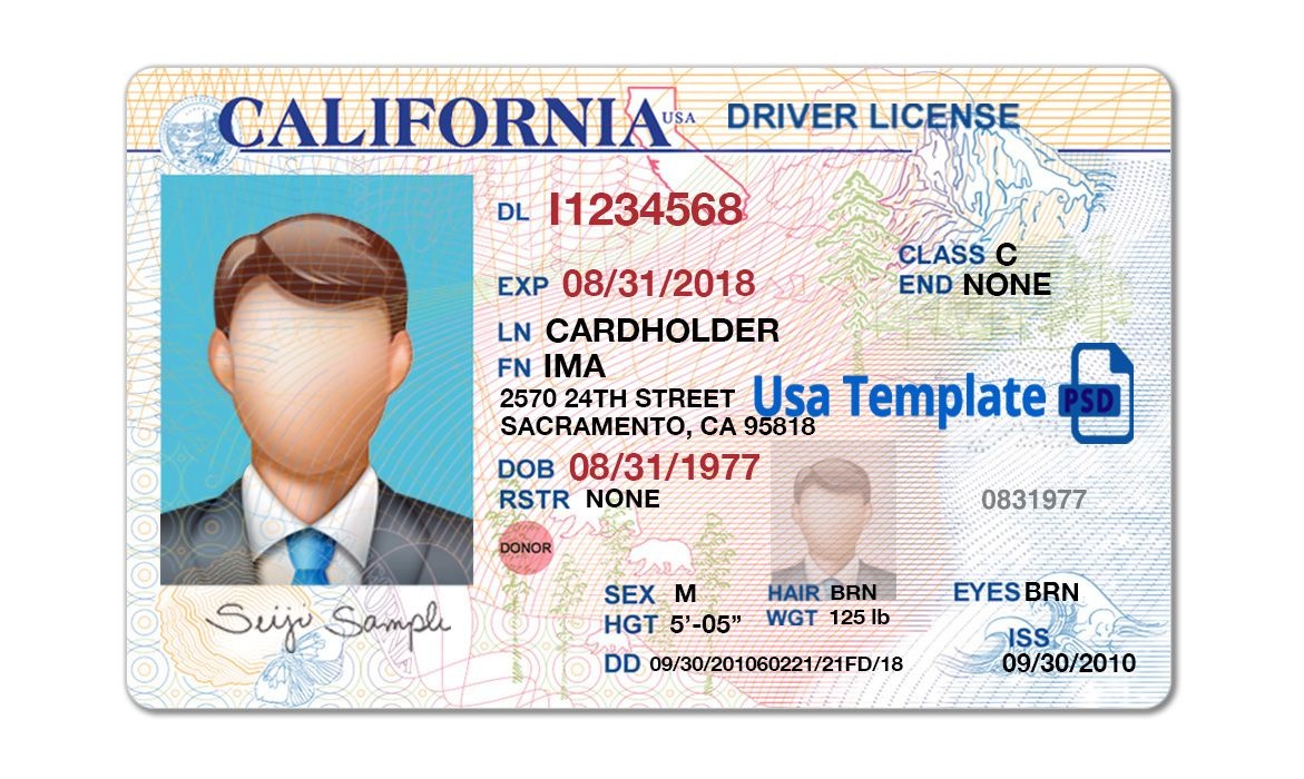 Free Printable Drivers License Template Free Templates Printable